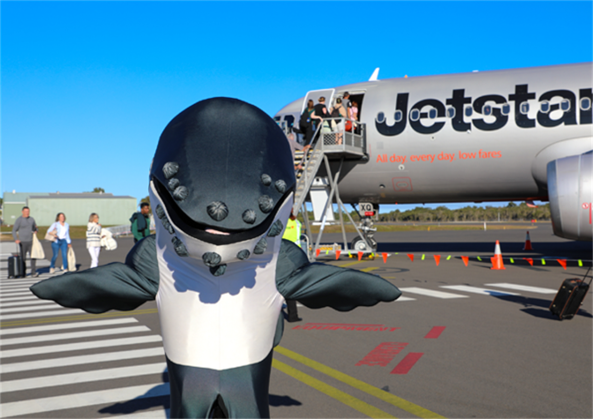 Fraser Coast flights soar with Qantas and Jetstar | Fraser Coast ...