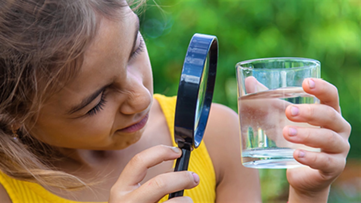 Water Education Bookings | Fraser Coast Regional Council